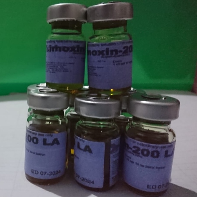Jual Limoxin 200 LA obat pilek dan pencernaan hewan | Shopee Indonesia