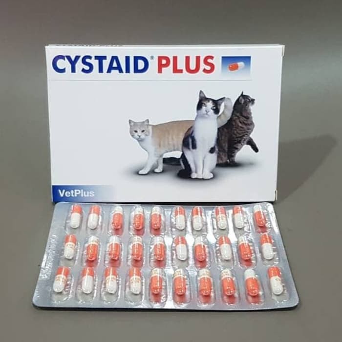 Jual Obat Suplemen FLUTD FUS Urinary Saluran Kencing Kucing CYSTAID ...