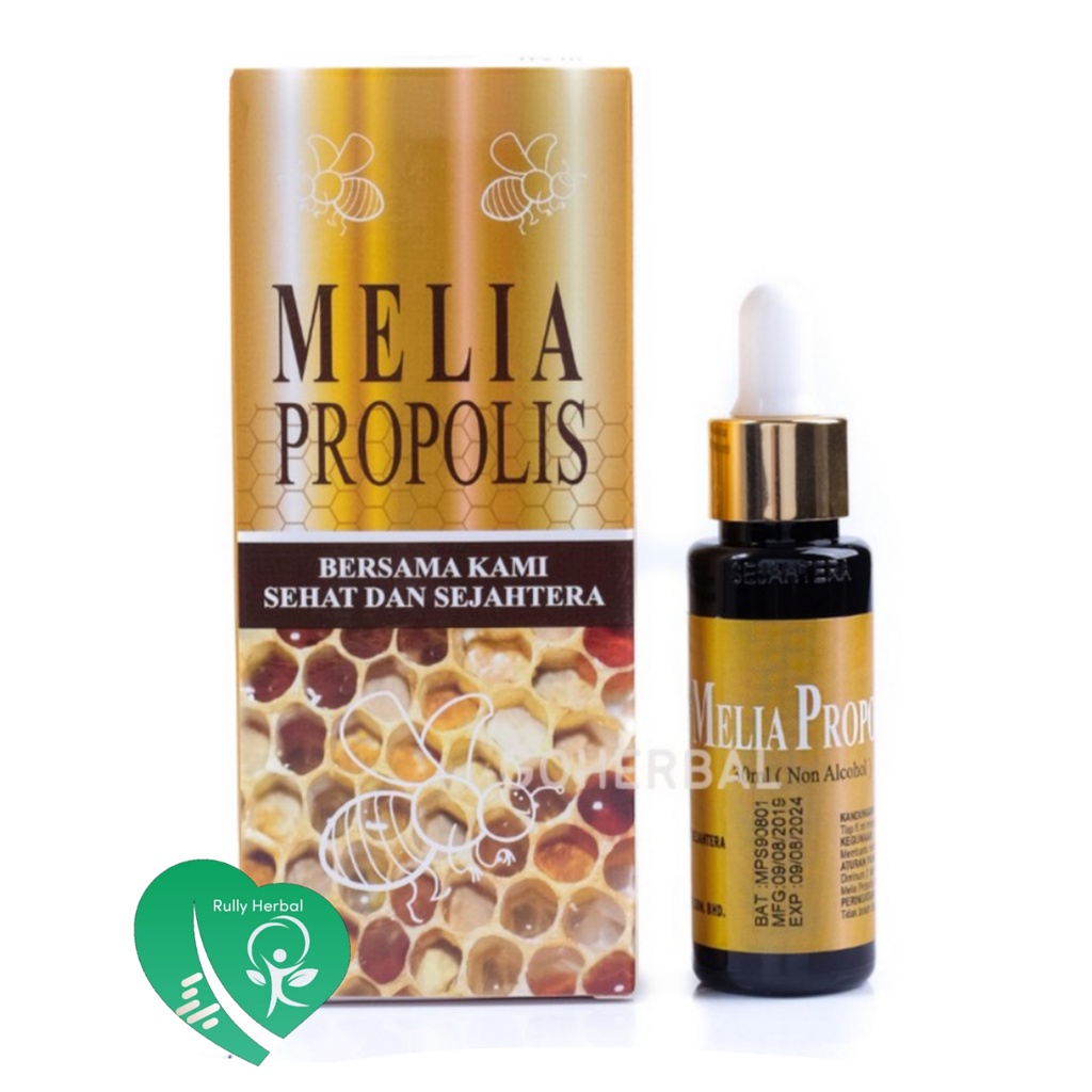 Jual PROPOLIS MELIA SEHAT SEJAHTERA NON ALCOHOL 30ml Original | Shopee ...