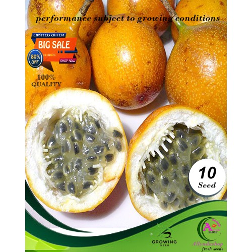 Jual 10butir biji benih buah markisa kuning | Shopee Indonesia