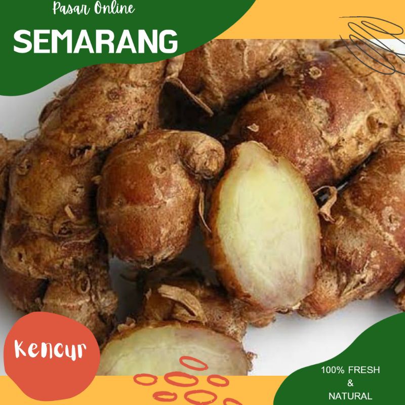 Jual Bumbu Dapur Kencur / Rempah Rempah / Bumbu Pawon / Empon Empon ... Jual Bumbu Dapur Kencur / Rempah Rempah / Bumbu Pawon / Empon Empon ...