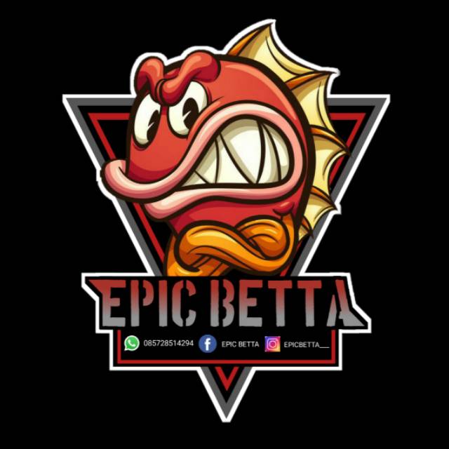 Produk EPIC BETTA | Shopee Indonesia