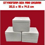 Jual Box Styrofoam mini ukuran 20x18x14cm | Shopee Indonesia