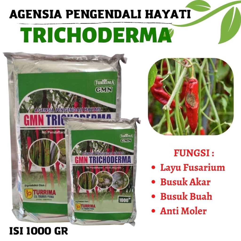 Jual Pupuk Agensia Pengendali Hayati Mengatasi Busuk Akar, BISA COD ...