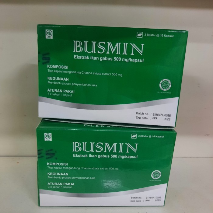 Harga Busmin Terbaru Januari 2023 |BigGo Indonesia