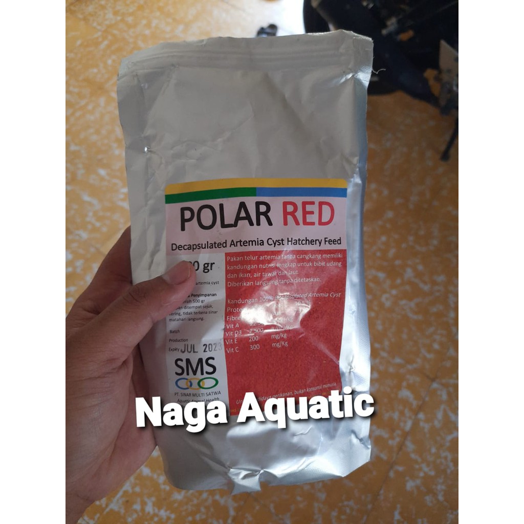 Jual Artemia Polar Red Repack 20 Gr | Shopee Indonesia