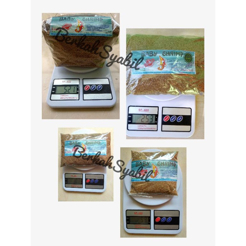 Jual The real baby shrimp pakan cupang pakan guppy pakan ikan hias ... Jual The real baby shrimp pakan cupang pakan guppy pakan ikan hias ...