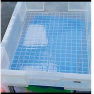 Jual KONTAINER TRANSPARAN / KONTAINER ROTI / KOTAK SERBAGUNA KIRAPAC ...