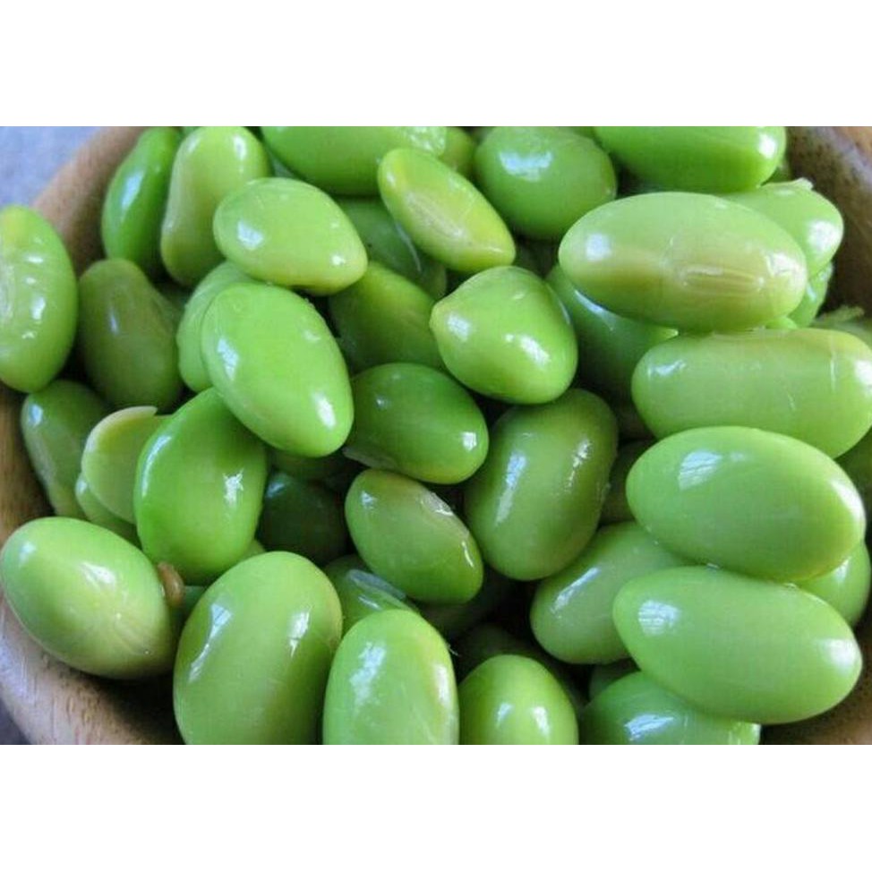 Jual 25 BENIH KEDELAI EDAMAME (KEDELAI JEPANG) | Shopee Indonesia