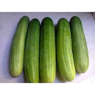 FreshPAK - Timun / Mentimun / Sayur Segar / Sayuran Segar | Shopee ...