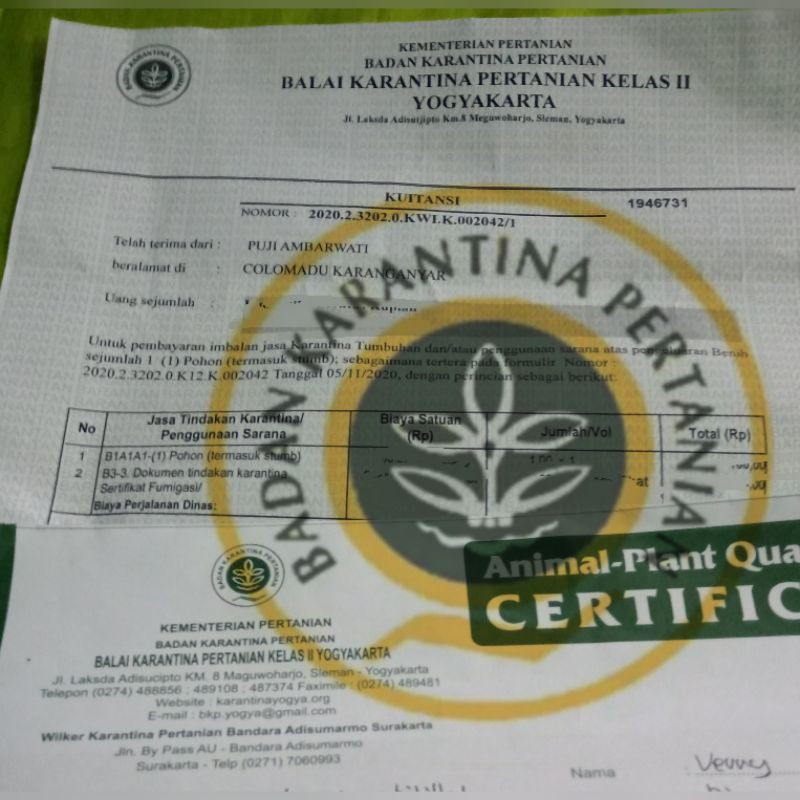 Jual Sertifikat Karantina | Shopee Indonesia