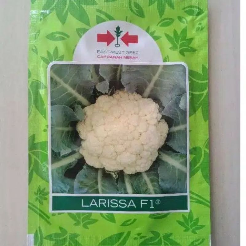 Jual TT99 Benih bunga kol LARISSA F1 10 gram biji kembang kol putih ...