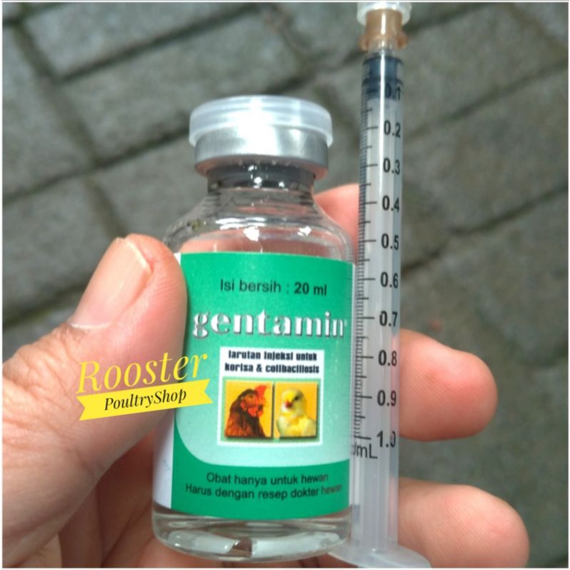 Jual Gentamin Obat Ayam Sakit Larutan injeksi untuk korisa ...