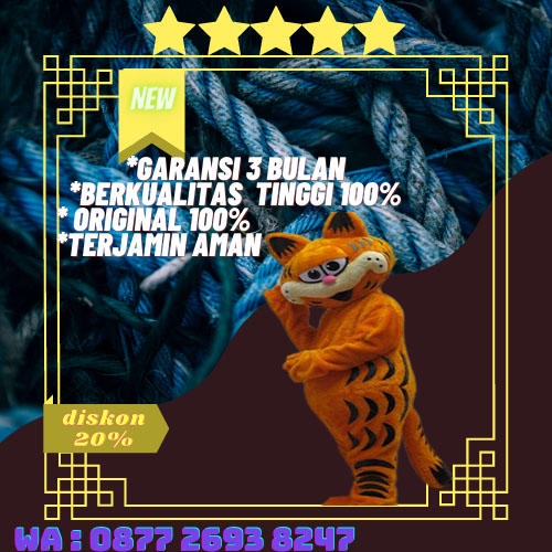 Jual KOSTUM BADUT KUCING LUCU IMUT DAN GEMES | Shopee Indonesia