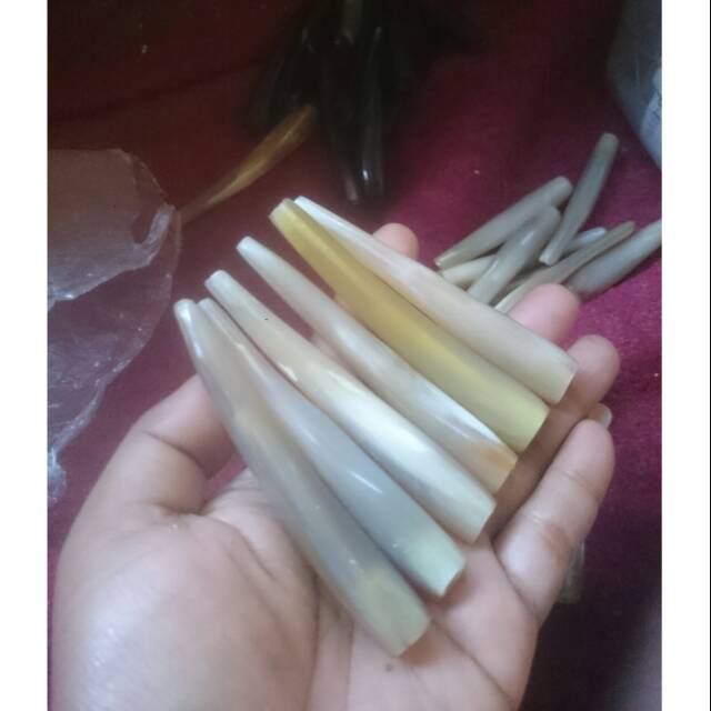 Jual Pipa rokok tanduk sapi kerbau bule Asli original | Shopee Indonesia