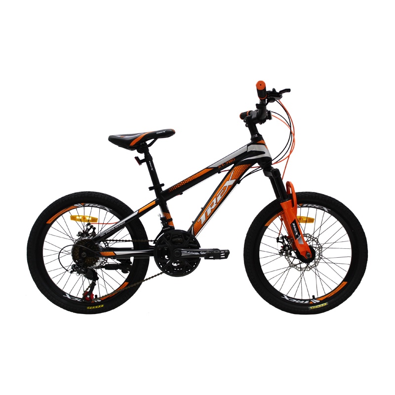 Jual Sepeda Anak - Sepeda Gunung MTB Trex Ukuran 20 Inch | Shopee Indonesia
