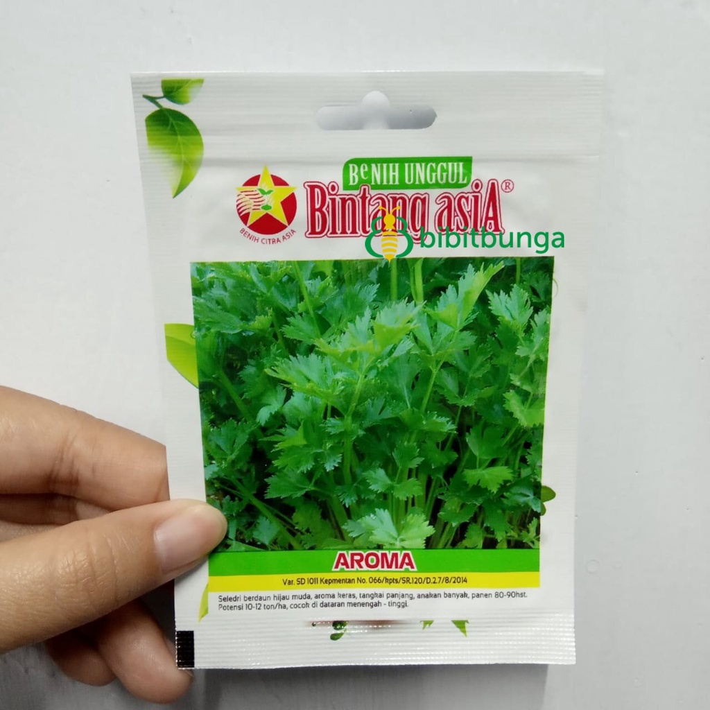 Jual Benih Biji Sayuran Daun Sop Sup Seledri Aroma Bintang Asia Sledri ...