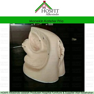 Jual Manekin Kateter Wanita - Alat Peraga kateter Wanita - manekin ...