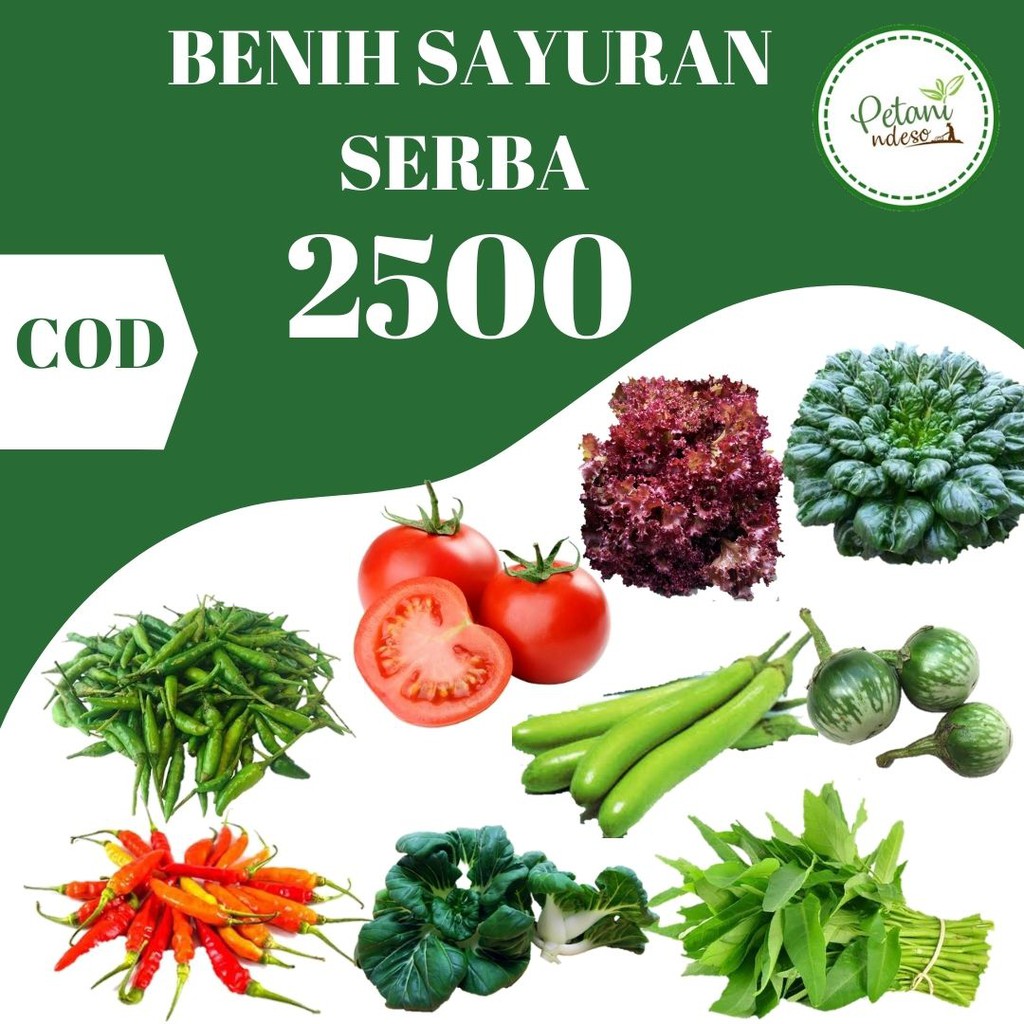 Biji/Benih Bibit Sayur Sayuran Lengkap Murah Ecer Sawi, Cabe/Cabai ...