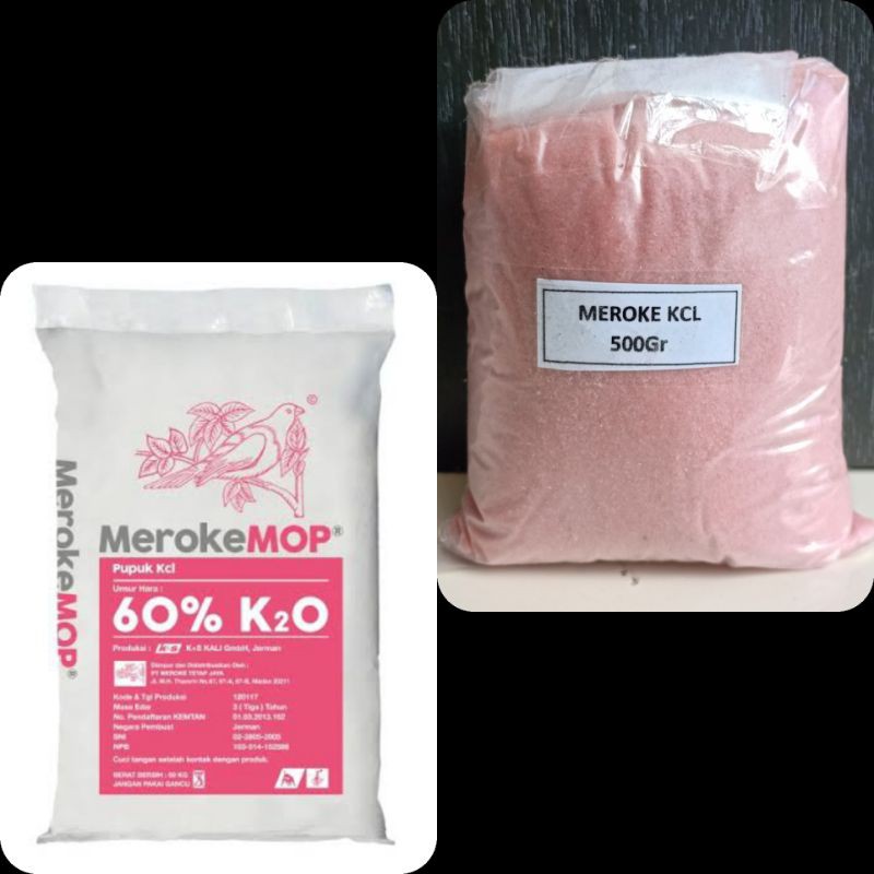Jual 500Gr Meroke MOP / KCL | Kemasan Repack | Shopee Indonesia