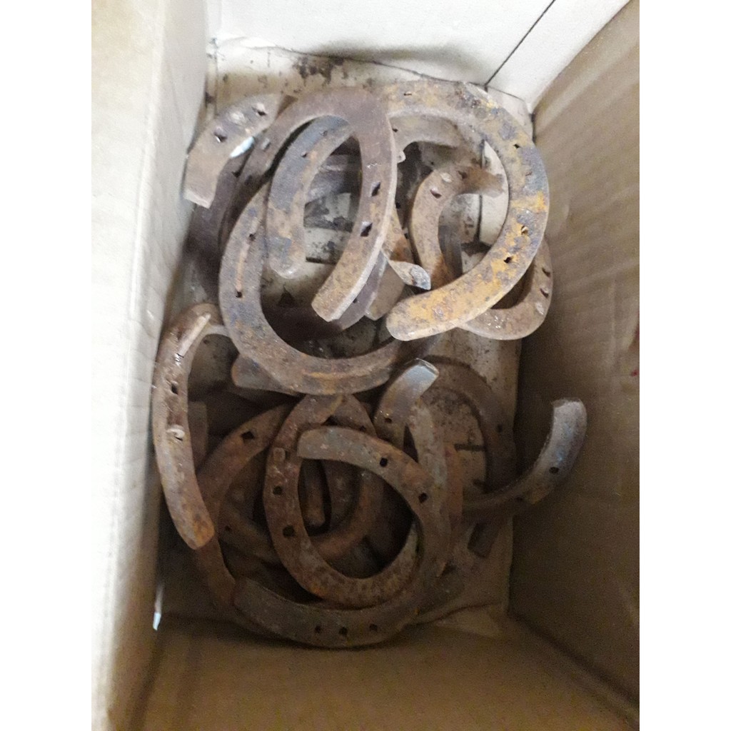 Produk sepatu kuda | Shopee Indonesia