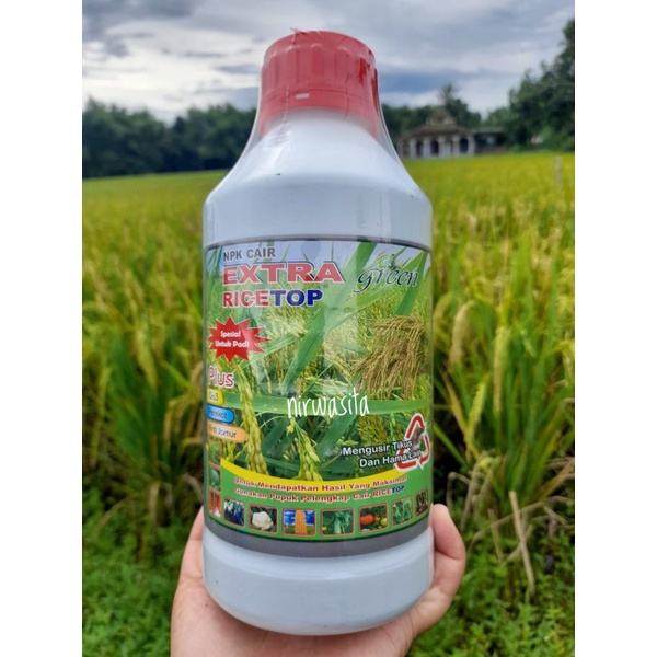 Jual Ricetop Pupuk Cair NPK Cair Penambah Bobot Padi dan Anti Hama Tikus Ricetop 1L Pupuk Padi ...