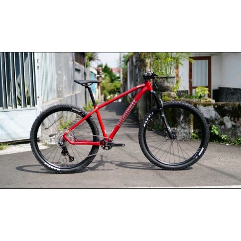 Jual sepeda mtb 29 inch Dominate AXC 2 elite Deore 12speed | Shopee Indonesia