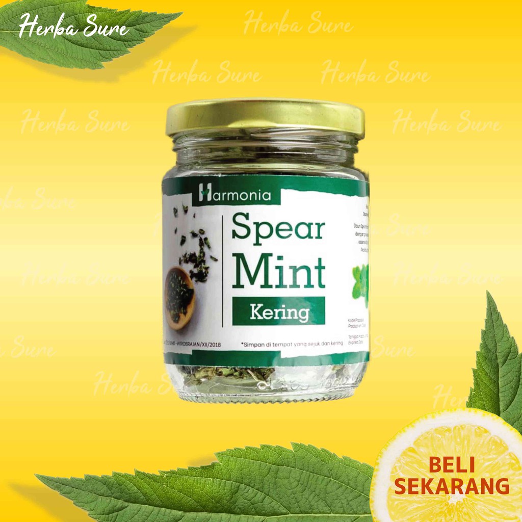 Jual Teh Daun Mint Jenis Spear Mint Kemasan Botol Kaca Premium | Shopee ...