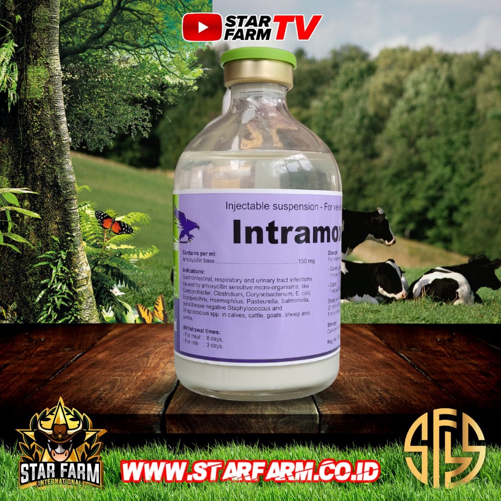 Harga INTRAMOX-150 Terbaru Mei 2023 |BigGo Indonesia