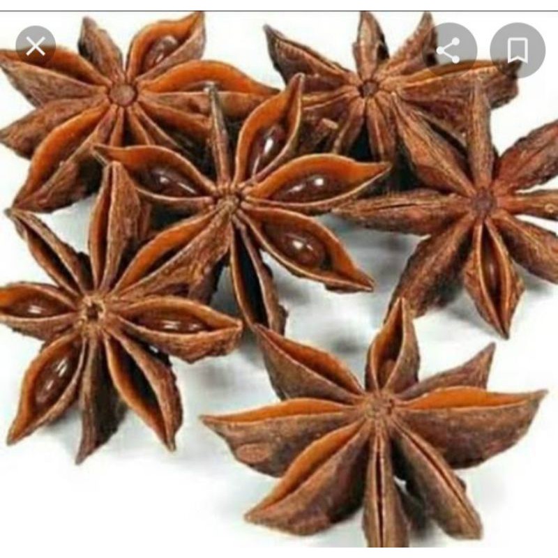 Jual bunga sisir per 100 gr Indonesia|Shopee Indonesia