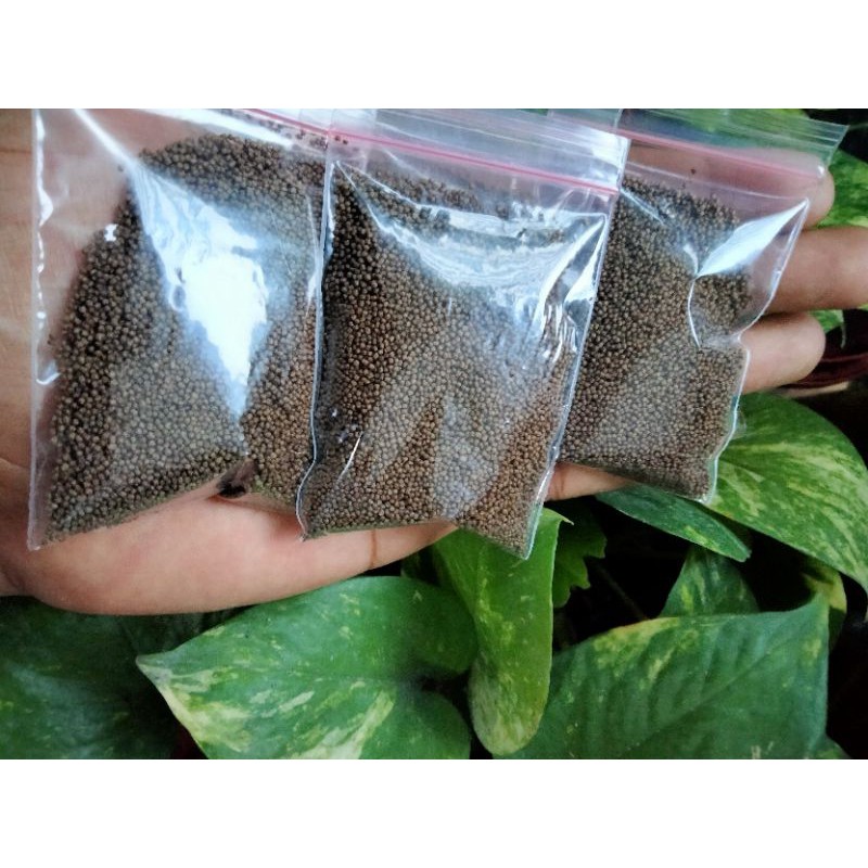 Jual Pakan Ikan Pelet Mikro // Pelet Ikan Hias// Pelet Ikan Cupang ...