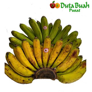Jual DUTA BUAH Pisang Medan Premium (+-0.9g-1.5kg/sisir) Indonesia ...