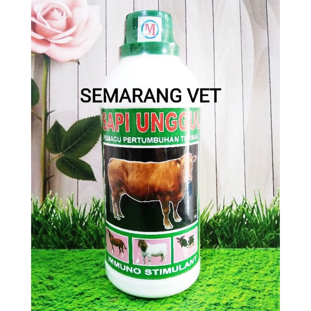 Jual Vitamin Sapi Penggemukan Vitamin Sapi Daya Tahan Tubuh Vitamin ...