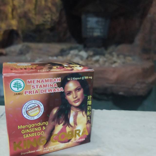 Jual King cobra kapsul original | Shopee Indonesia