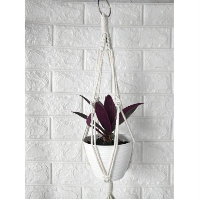 Jual TALI POT GANTUNG / Gantungan pot / macrame plant hanger | Shopee ...