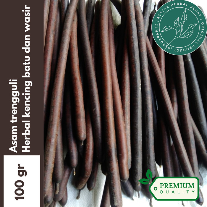 Jual Asam trengguli tengguli 100gr - Cassia fistula - rempah herbal ...