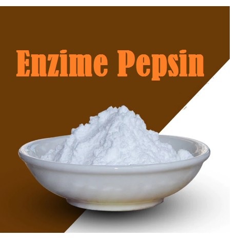 Jual Pepsin Enzym 20 gram/ Enzim Pepsin 20 gram | Shopee Indonesia