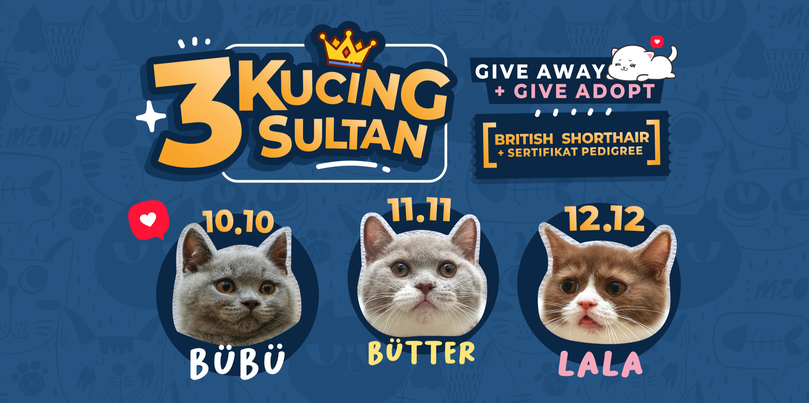 Toko Online Petglow Official Shop | Shopee Indonesia