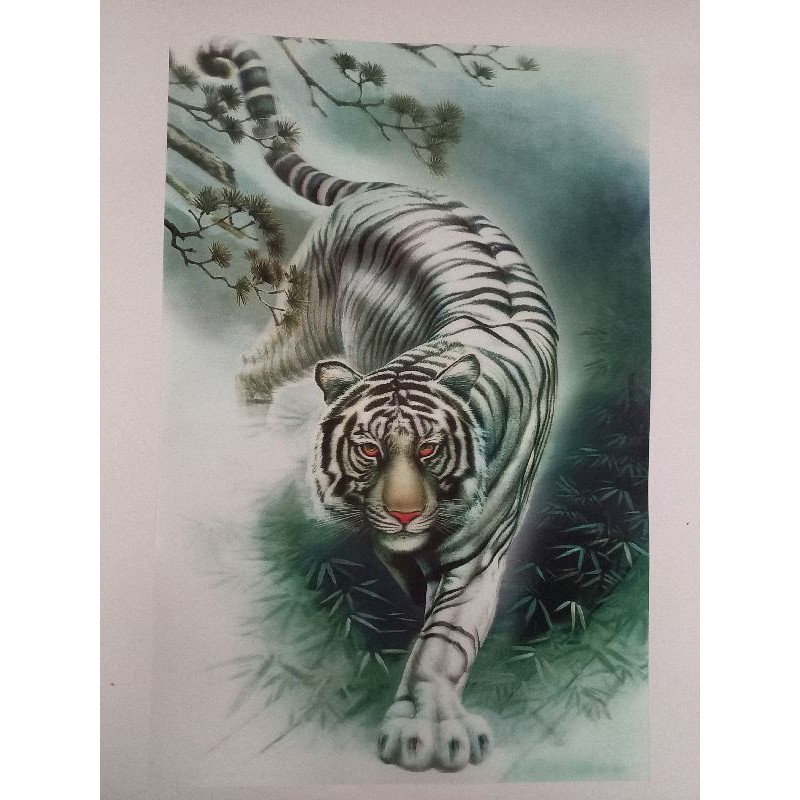 Jual POSTER MACAN HARIMAU PUTIH efek 3 dimensi (P38xL58 cm) | Shopee ...