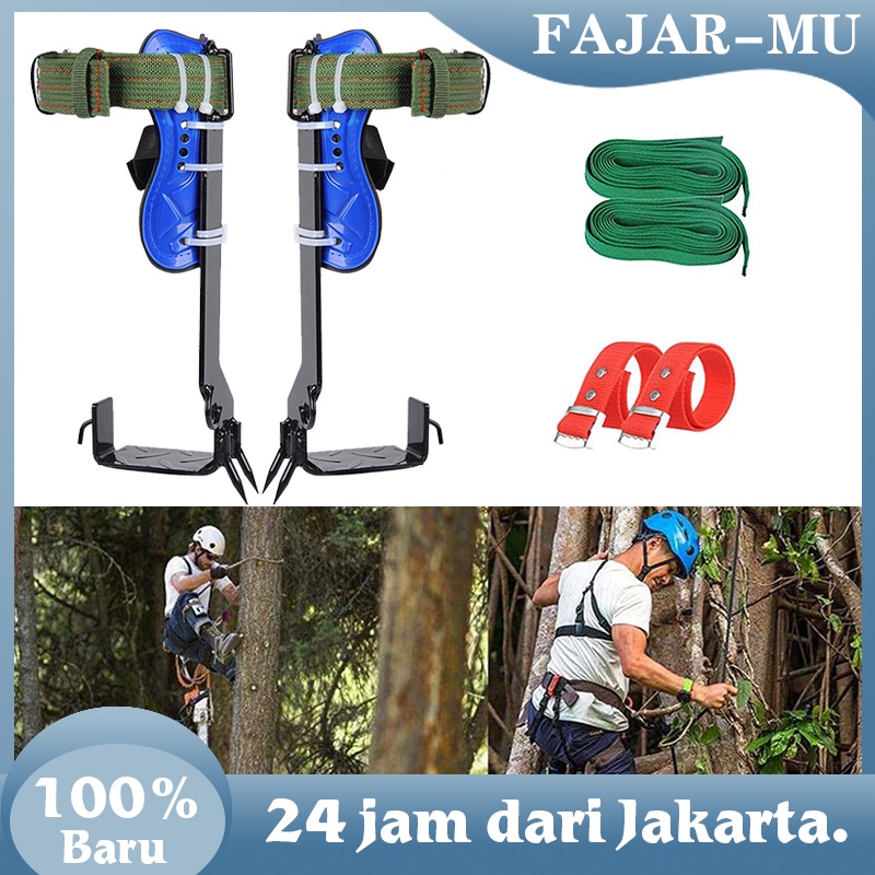 Jual Alat Panjat Pohon Alat Panjat Kelapa Tree Climbing Spike Set Spike ...