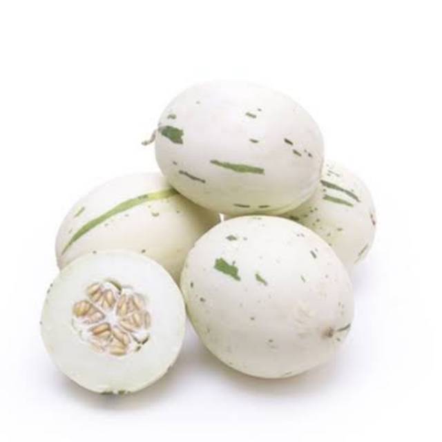 Jual 5 biji benih Melon Leopard hidroponik | Shopee Indonesia