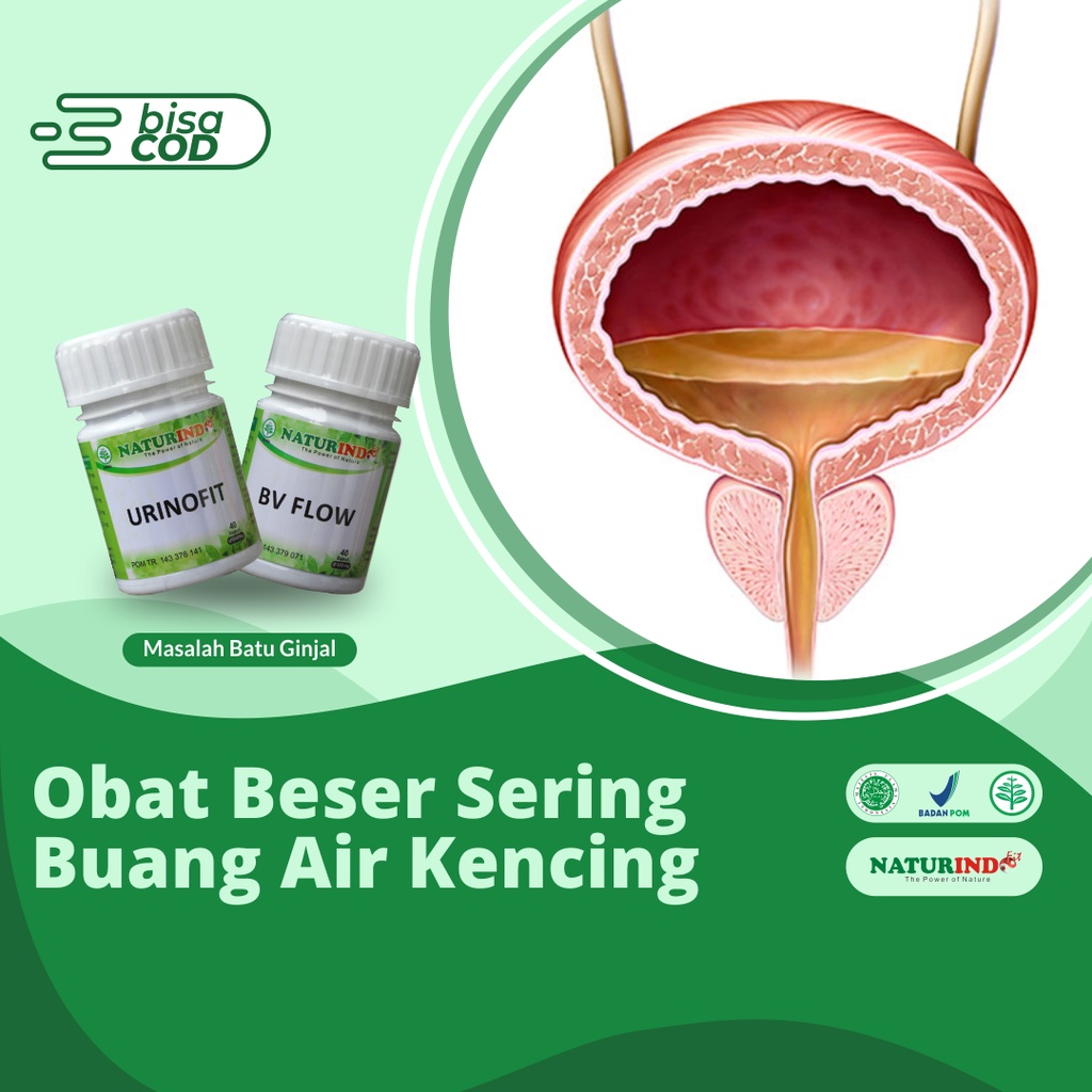 Jual Obat Sering Buang Air Kecil Beser Kencing Sulit Anyang Anyangan Infeksi Saluran Kemih ...