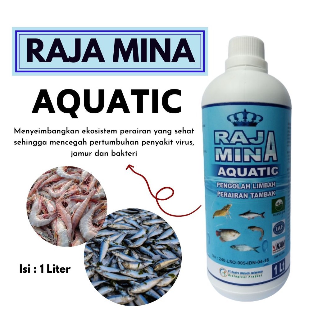 Jual RAJAMINA Aquatic Probiotik Limbah Kolam Ikan Nila, RAJA MINA Untuk ...