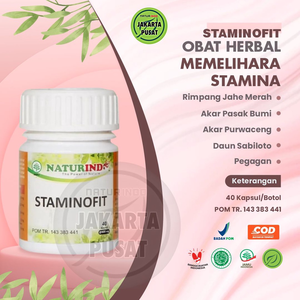 Jual Staminofit Naturindo Suplemen Obat Herbal Memelihara Menjaga ...
