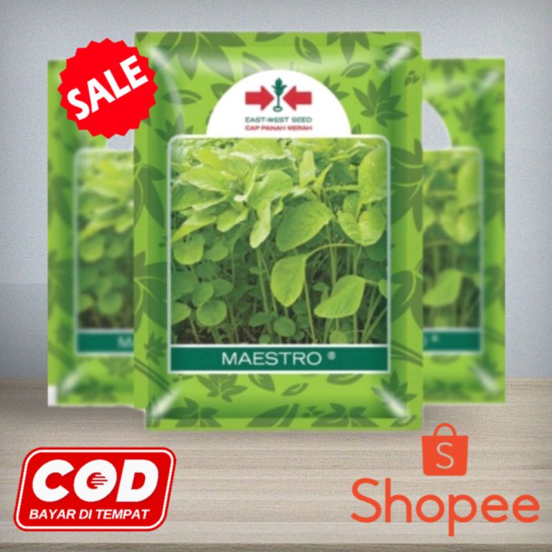Jual Benih bibit Bayam Maestro 26000 butir -CAP PANAH MERAH | Shopee ...