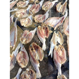 Jual ikan asin gerabah / belahan / gulama / samge 500 gr Indonesia ...
