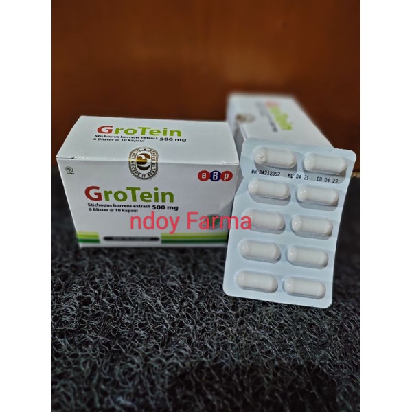 Harga Grotein Terbaru Desember 2023 |BigGo Indonesia