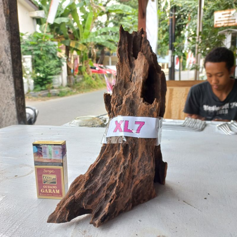 Jual Kayu Rentek Aquascape Ukuran XL pilihan | Shopee Indonesia