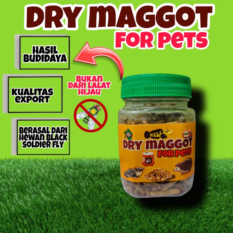Jual Ulat magot kering makanan sugar glider, makanan hamster dan ikan ...