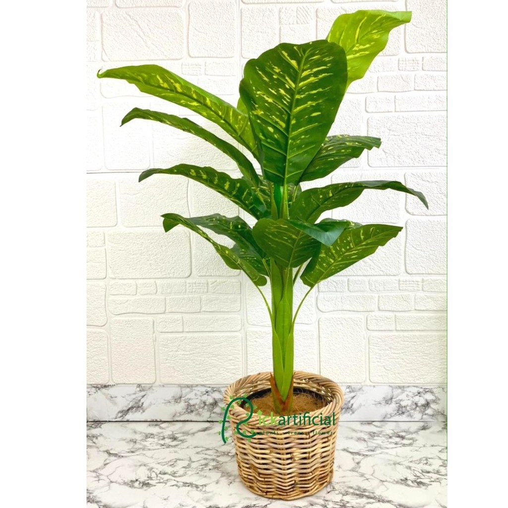 Jual Pohon Daun Sri Rejeki Hijau Latex Artificial Pot Dasar Plastik ...